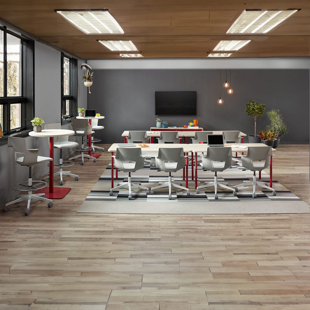 Turnstone Shortcut - Vinoti